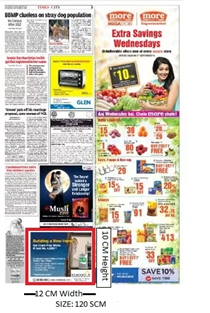 Teacher Recruitment Advertisement in Newspapers | Guide 2026
