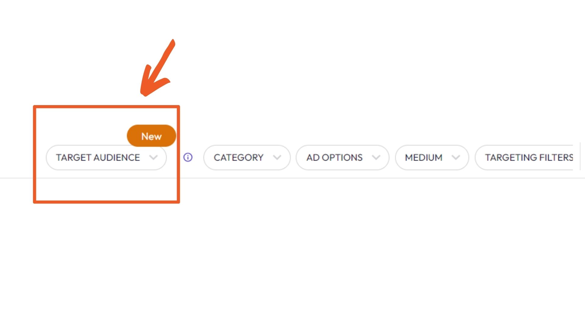 Unlocking Precision Advertising With Demographic Filter