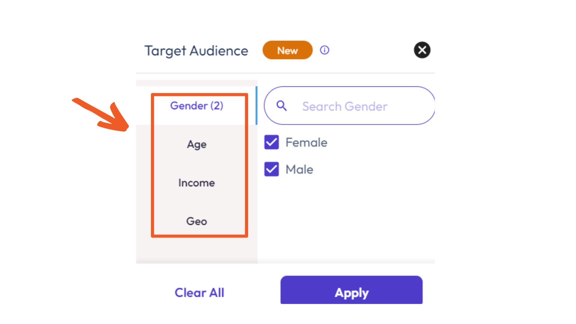 Unlocking Precision Advertising With Demographic Filter