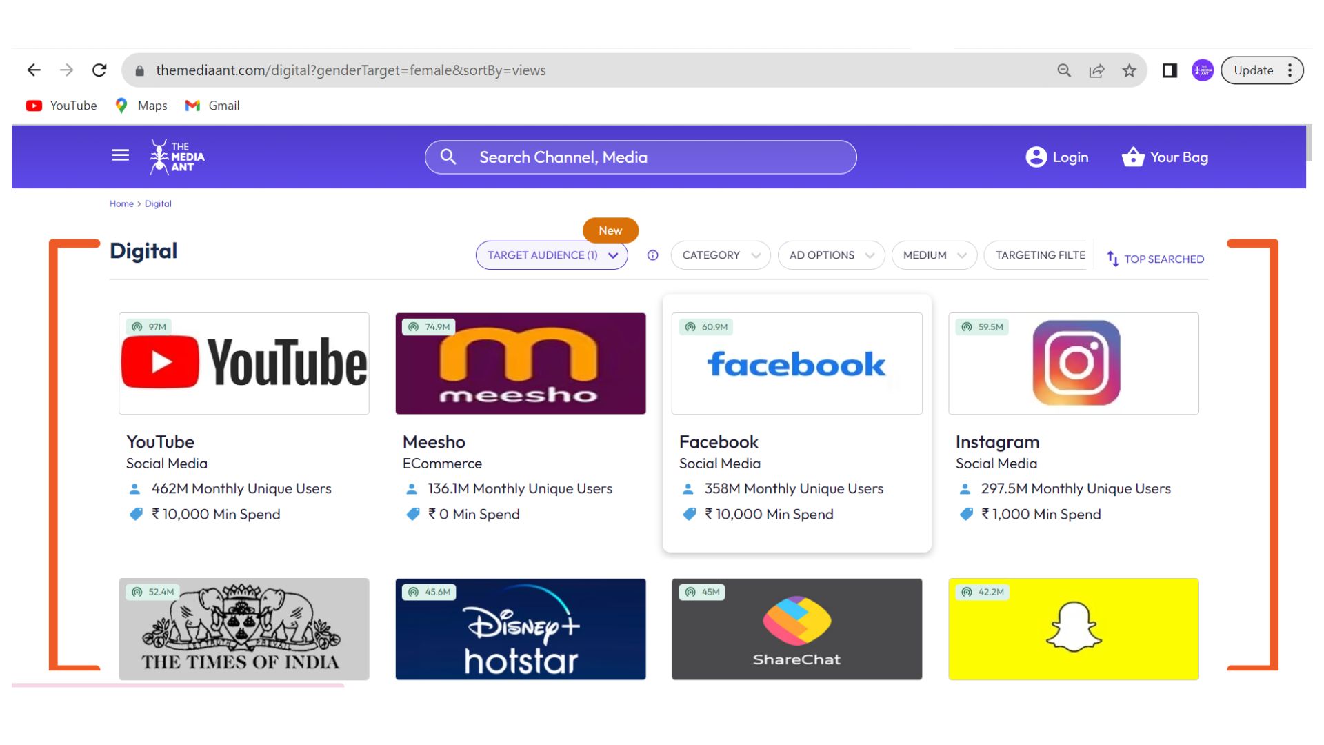 Unlocking Precision Advertising With Demographic Filter