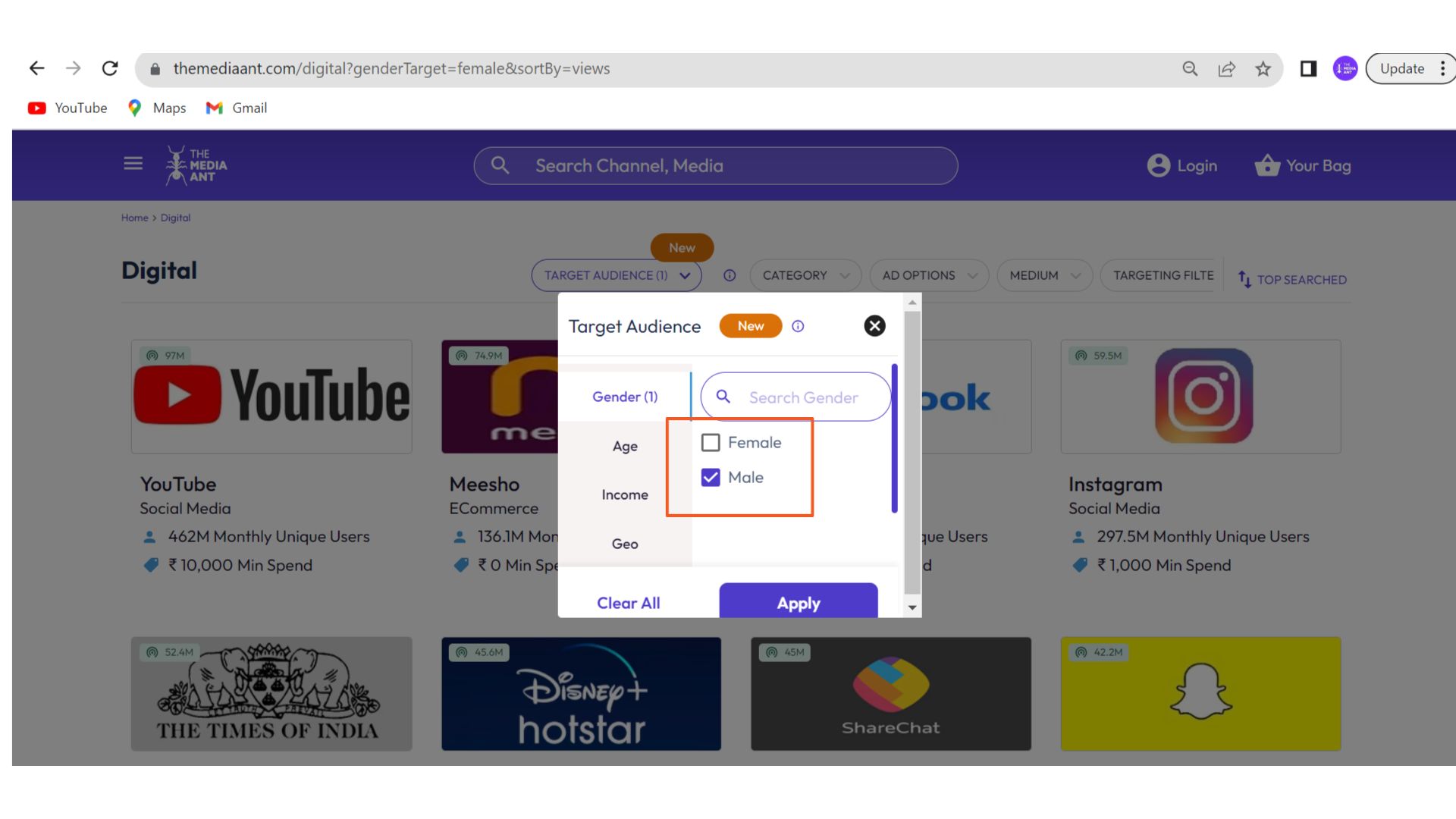 Unlocking Precision Advertising With Demographic Filter